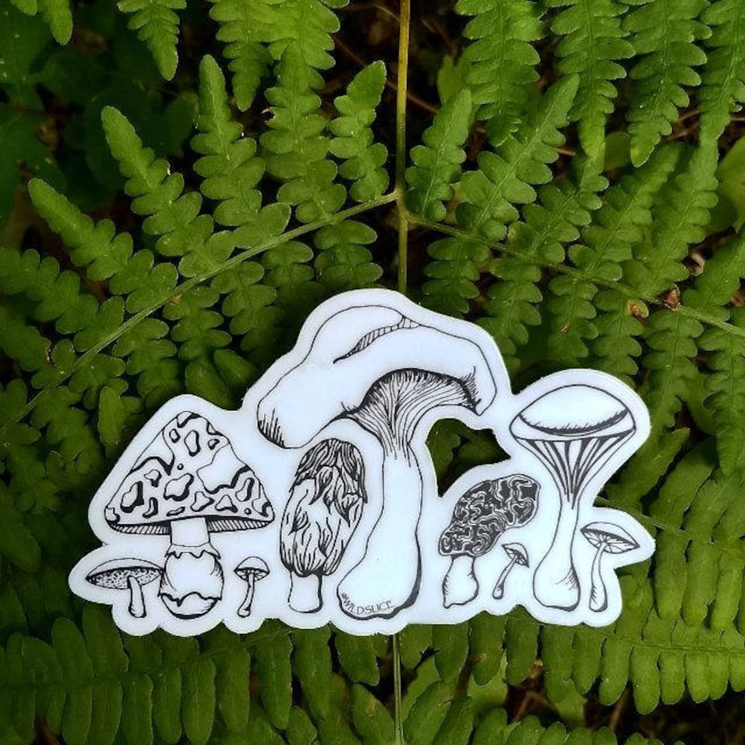 Mushroom Weatherproof Vinyl Sticker Decal. Bumper Sticker, Waterbottle ...
