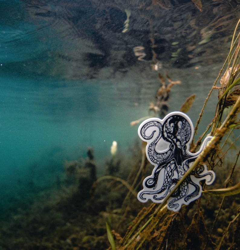 Poseidon the Octopus Sticker 4" Weatherproof and Durable, Outdoor ...