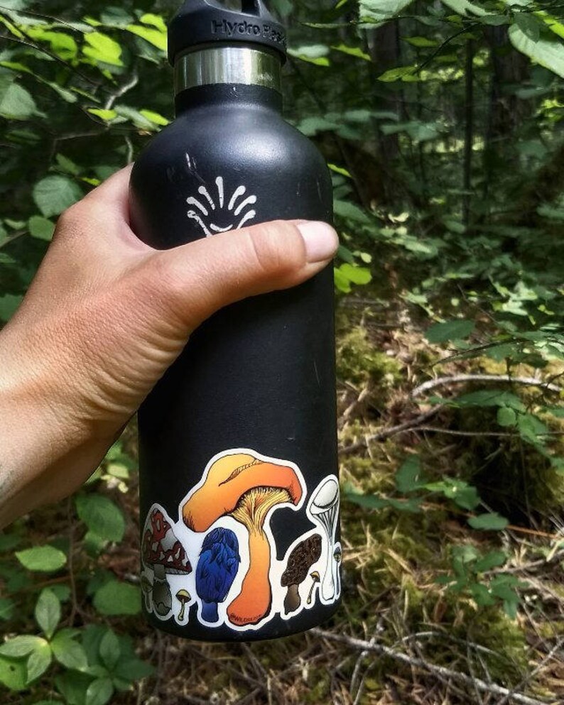 Mushroom Weatherproof Vinyl Sticker Decal. Bumper Sticker, Waterbottle ...