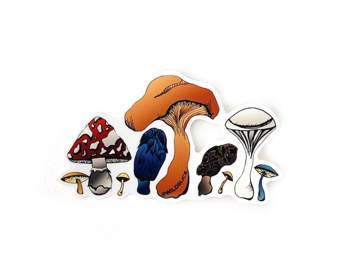 Mushroom Weatherproof Vinyl Sticker Decal. Bumper Sticker, Waterbottle ...