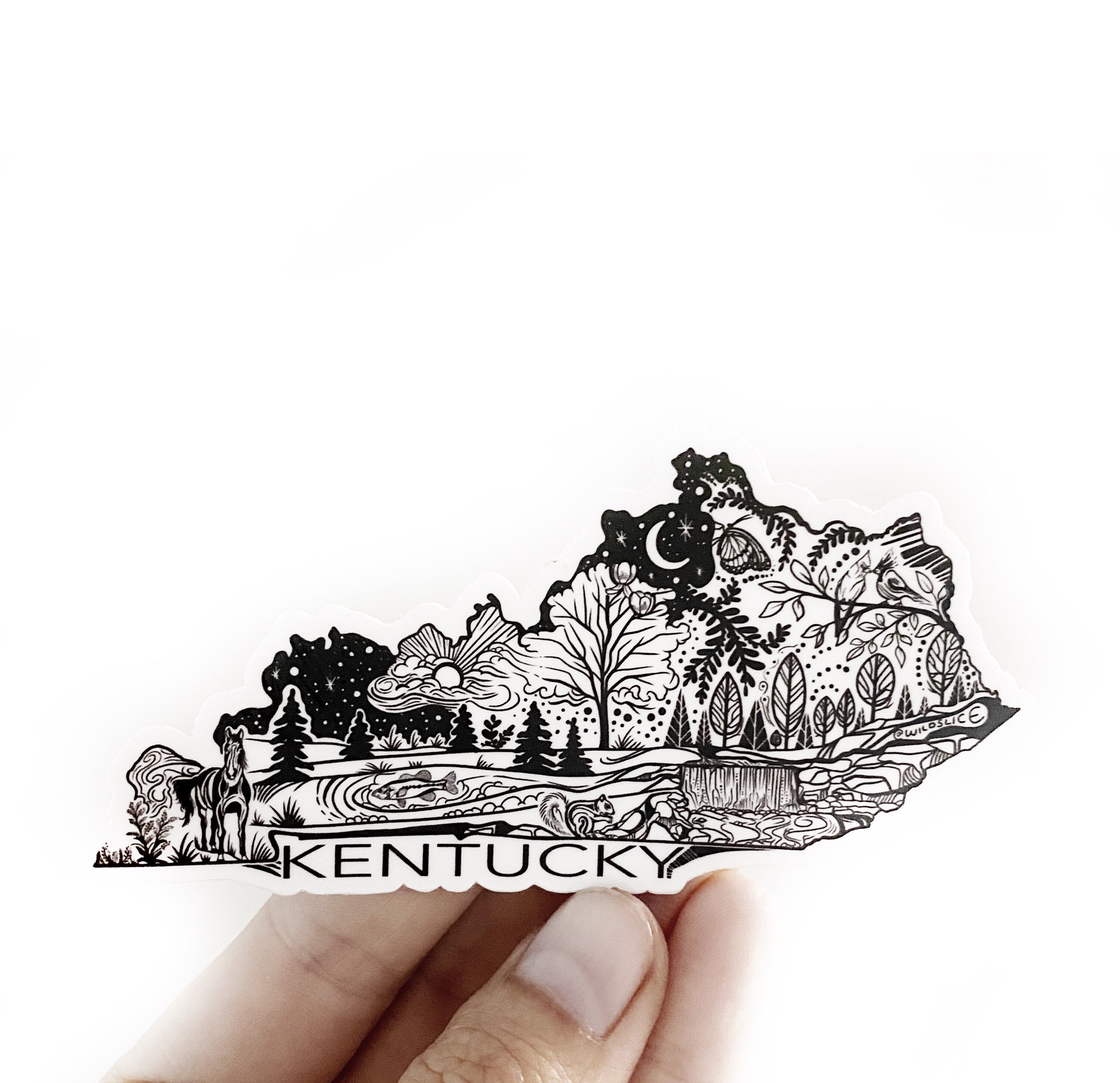 Kentucky 4 State Sticker Decal Bumper Sticker - Etsy