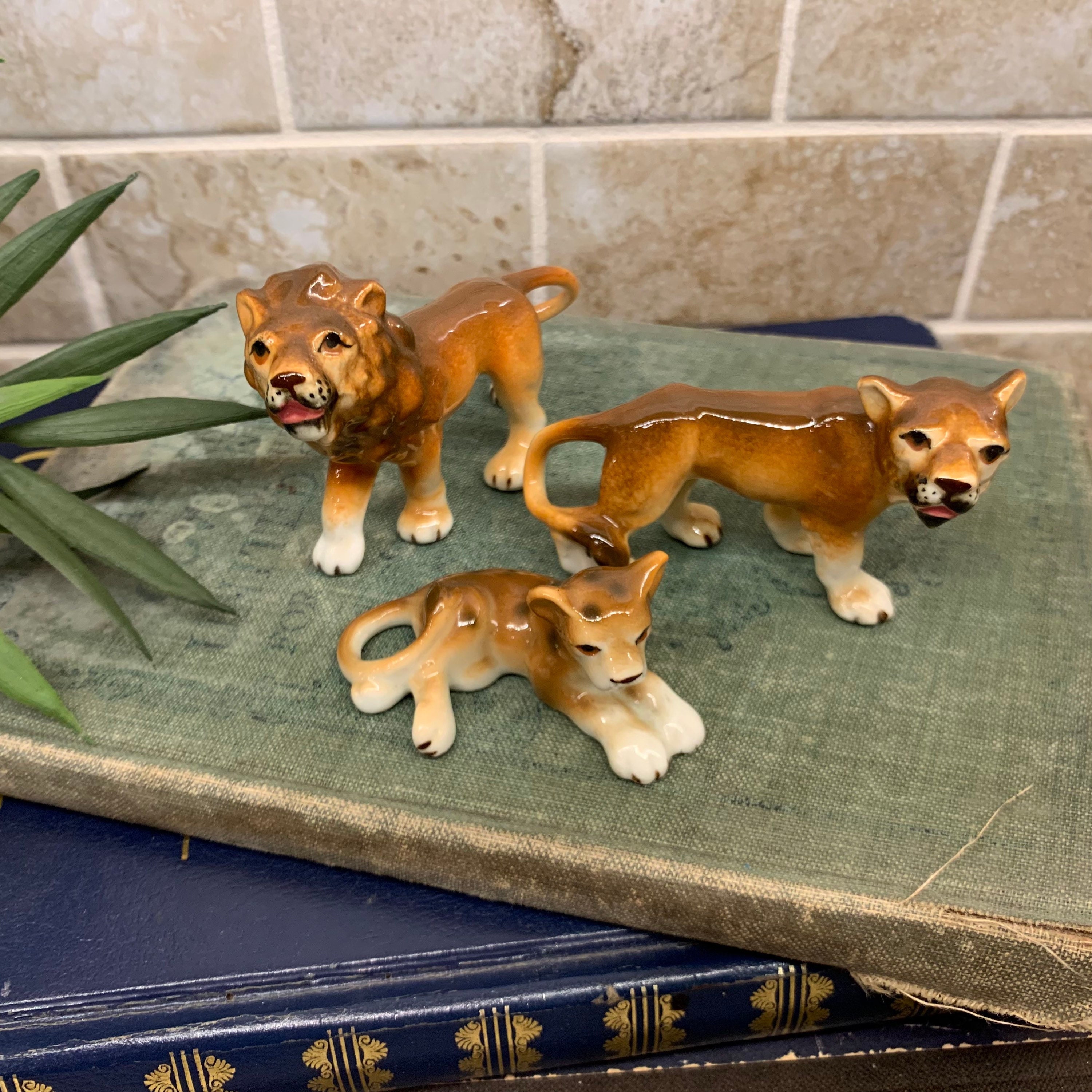 Lorie Griffin In Heels