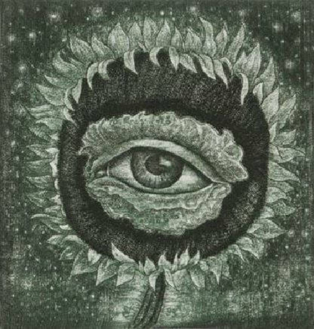 Night - Small Sunflower Etching Mini Print by Marin Gruev - Etsy