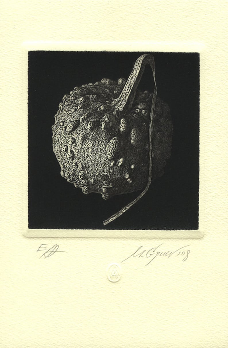 Ecological Object, Pumpkin Etching Plant Print by Marin Gruev - Etsy