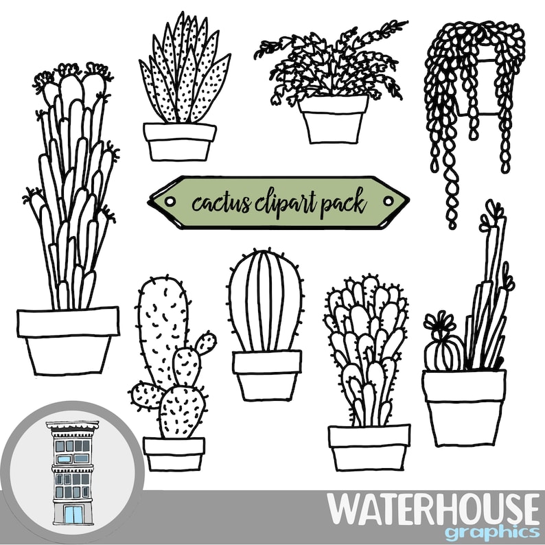 CACTUS Clip Art Digital Hand Drawn Cacti Succulents Clipart - Etsy