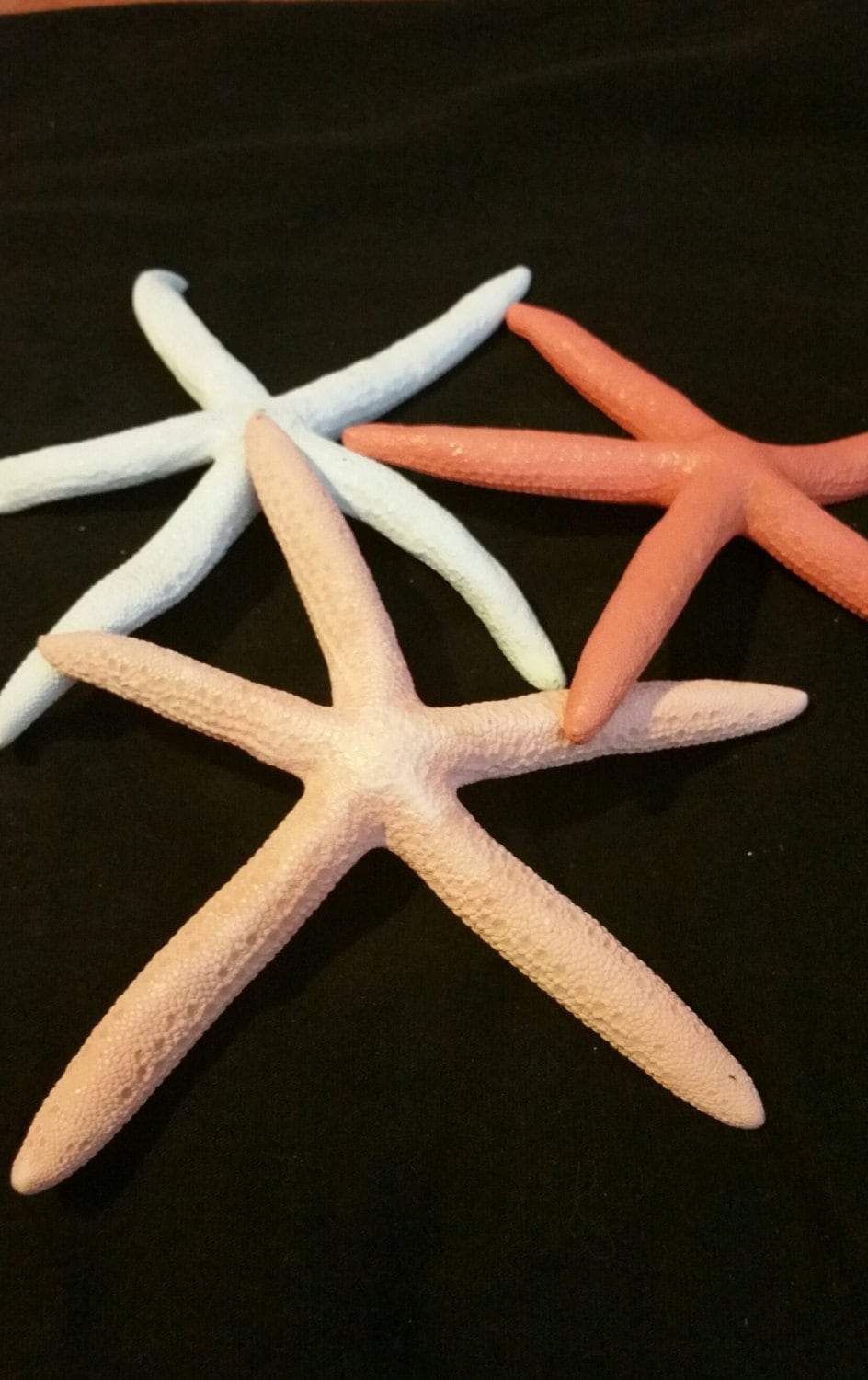 StarFish Decor / Star Fish /Finger Starfish Decor / Set of 3 | Etsy
