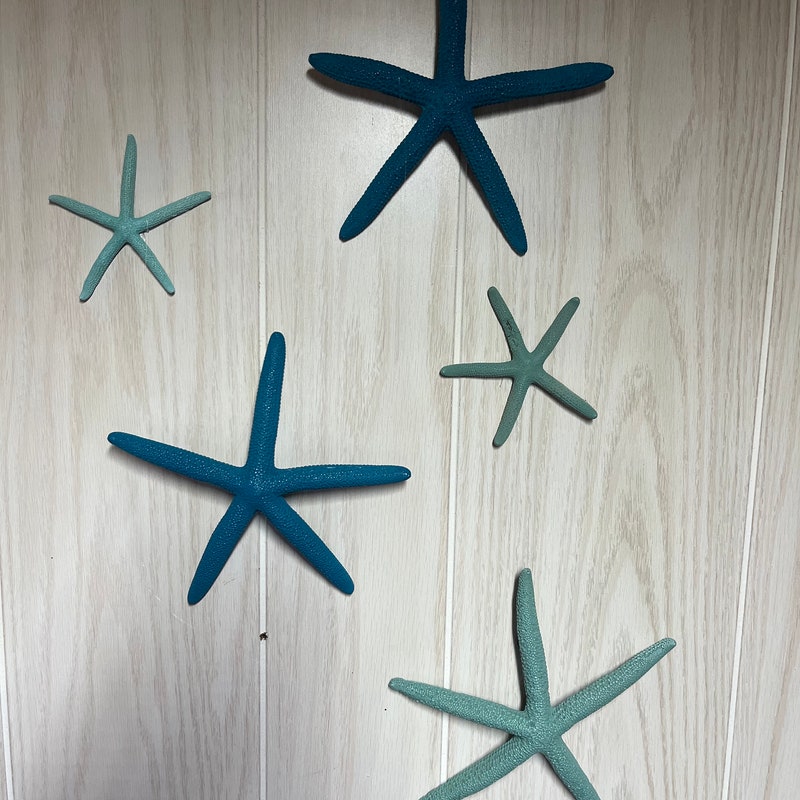 Starfish Wall Decor - Etsy