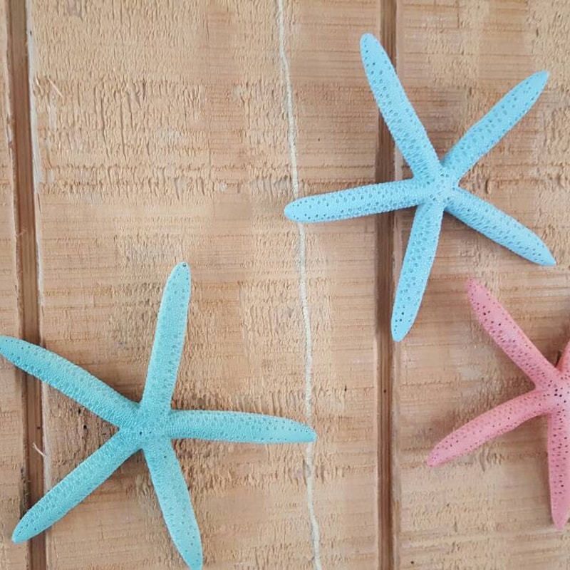 Starfish Wall Decor - Etsy