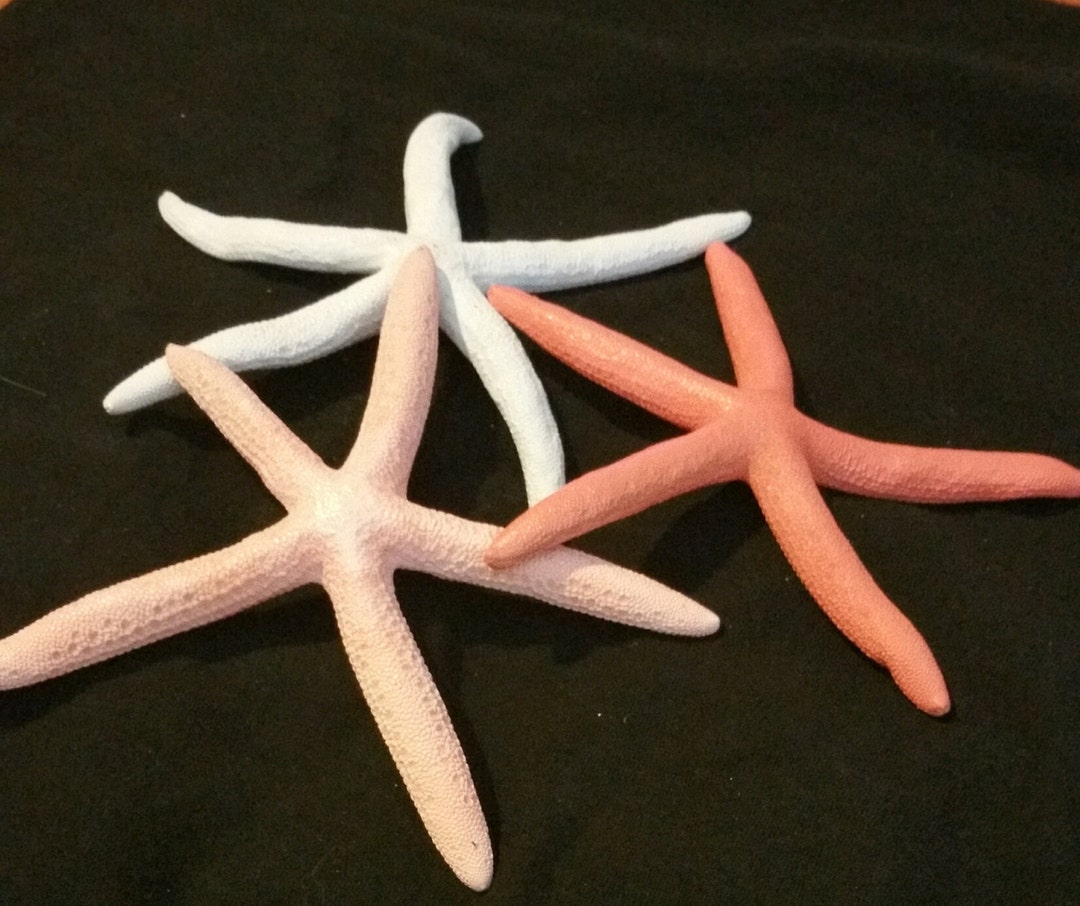 Starfish Decor / Star Fish /finger Starfish Decor / Set of 3 - 6"-7 ...