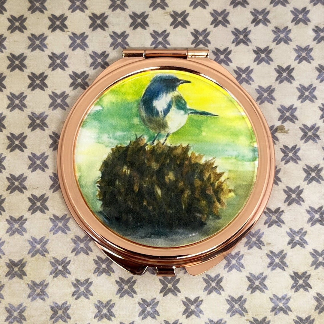 Blue Jay on Giant Pine Cone - Etsy