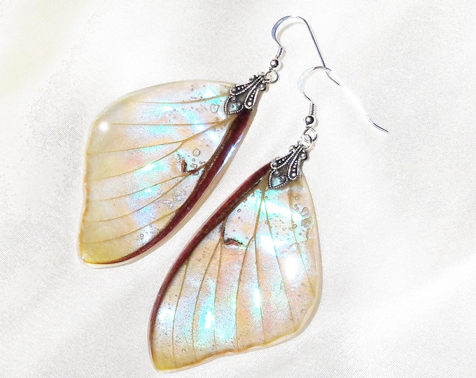 Luna Moth Earrings, Real Moth Wing Jewelry, Spring Accessories Trends ...