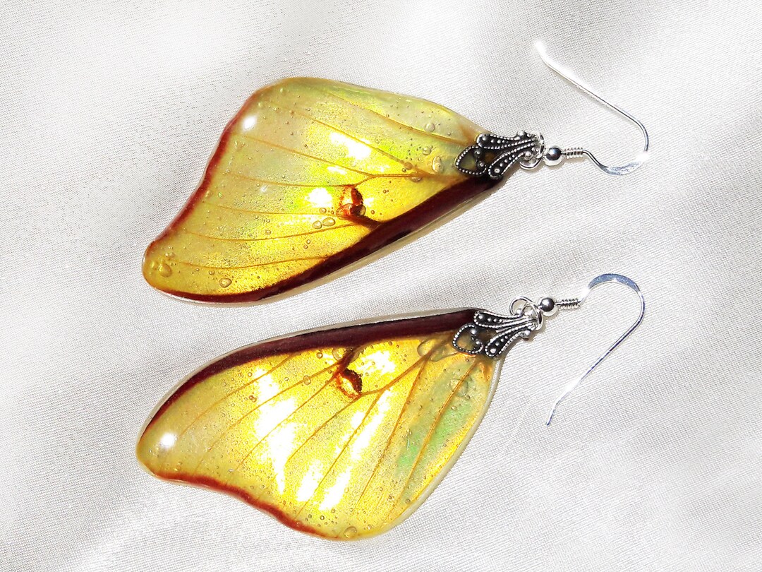 Golden Iridescent Luna Moth Wing Earrings, Nature Inspired Jewelry for ...