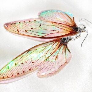 Extra Large Cicada Wing Fairy Earrings Real Insect Wing - Etsy