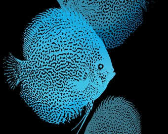 Discus Poster, Discus Wall Print, Tropical Fish Wall Print, Printable ...