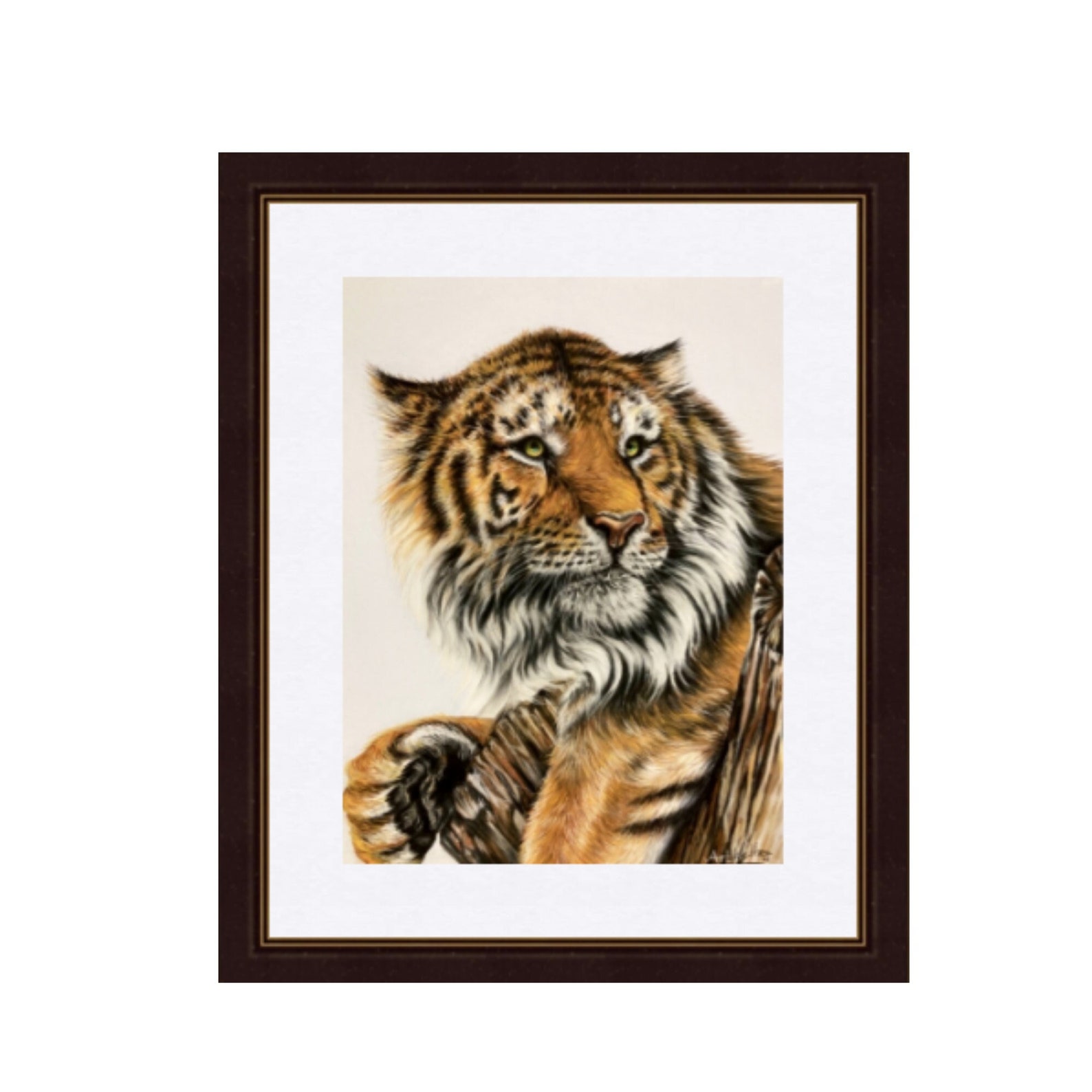 TIGER PENCIL DRAWING, Original Art, Wildlife Illustration, Big Cat ...
