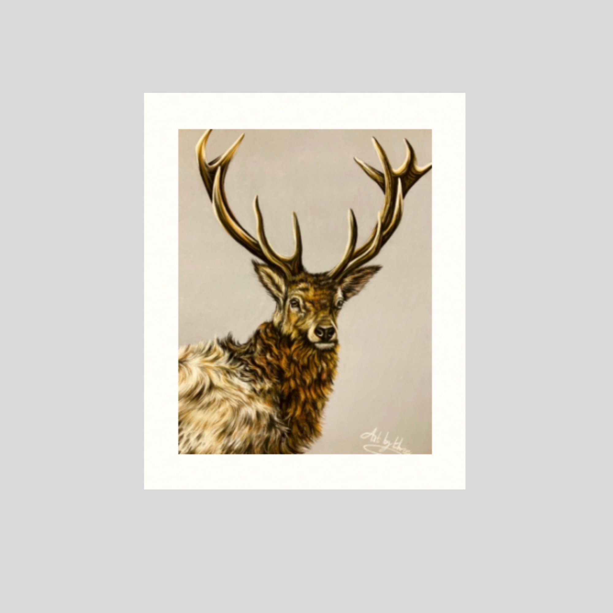 HIGHLAND STAG PENCIL Drawing, Scottish Wildlife Art, Original ...