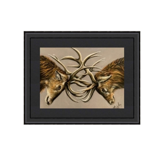 Deer Bucks Fighting Drawing