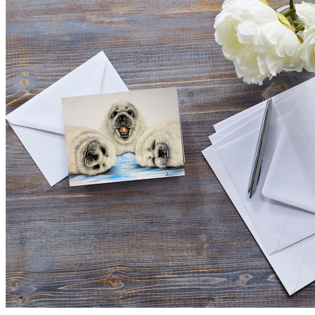 CUTE BABY SEALS Card, Three Seal Pups, New Baby Card, Wildlife Notecard ...