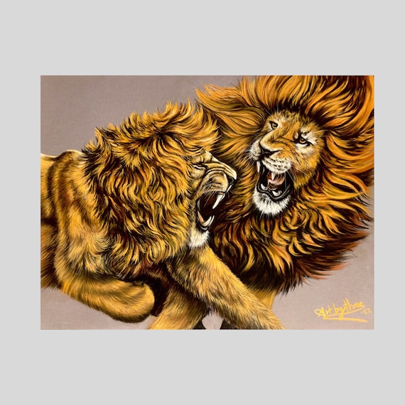 Fighting Lion Drawing