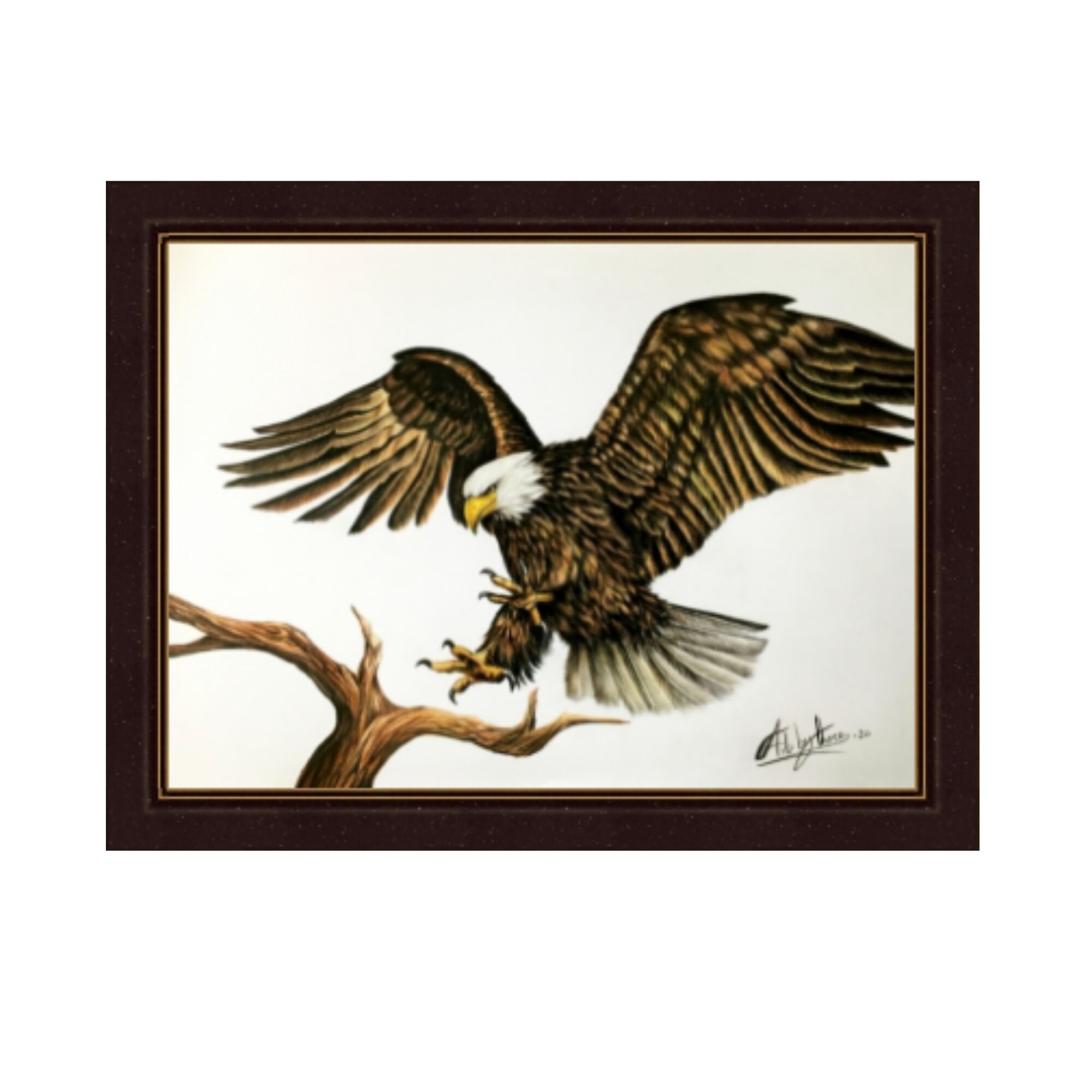 BALD EAGLE FLYING Print Bird of Prey Art American Eagle - Etsy UK