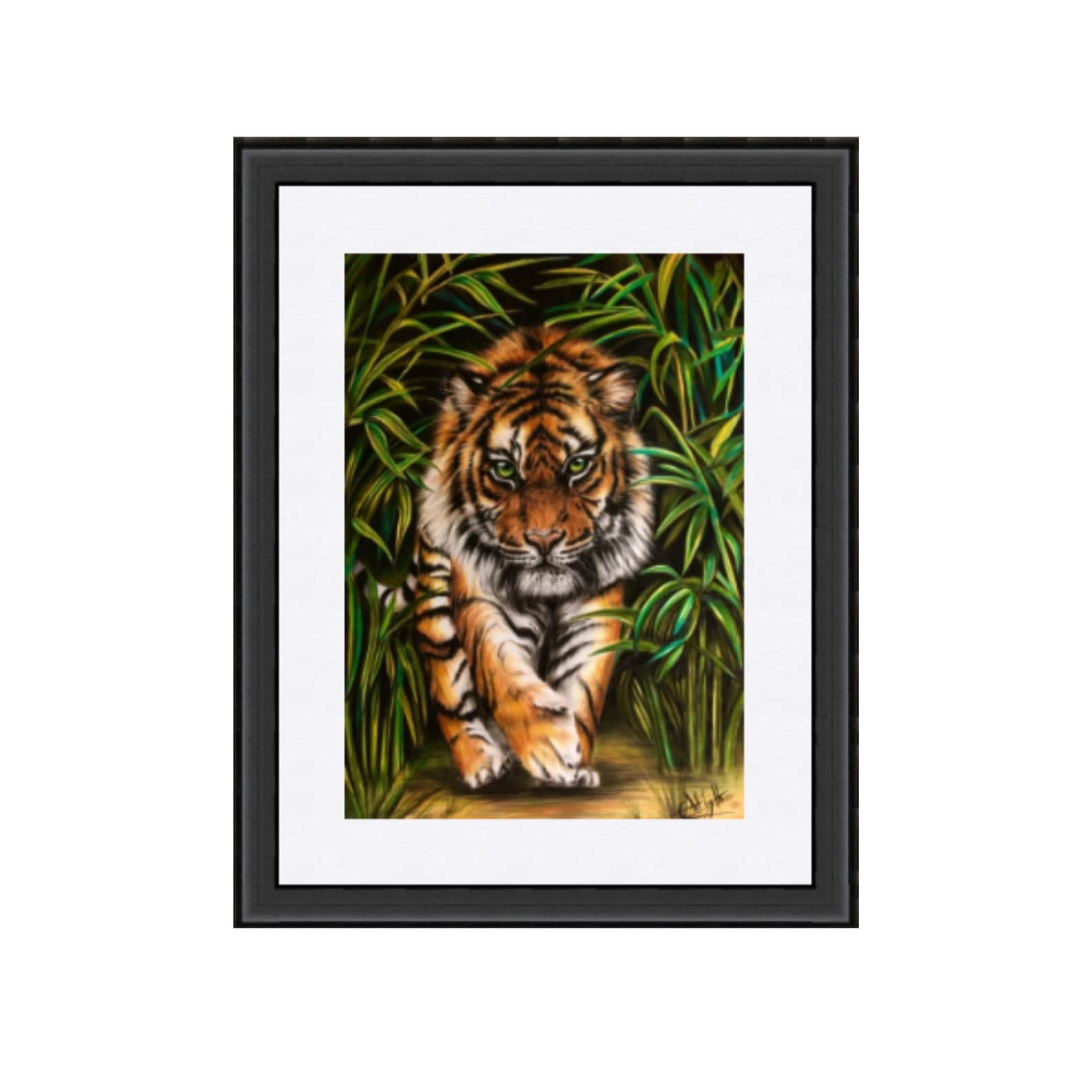 TIGER PROWLING DRAWING Big Cat Pencil Sketch Bengal Tiger - Etsy