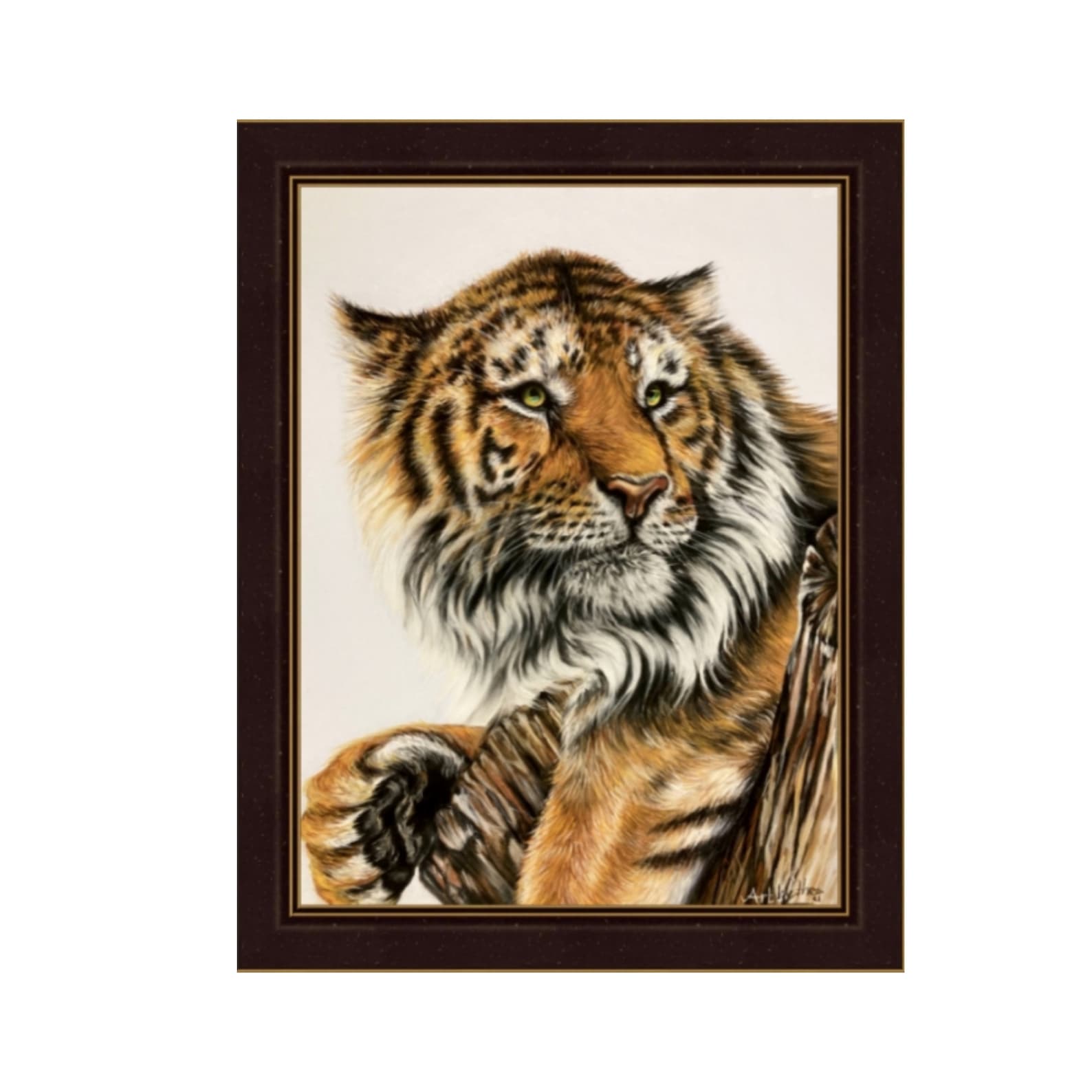 TIGER PENCIL DRAWING Original Art Wildlife Illustration Big - Etsy