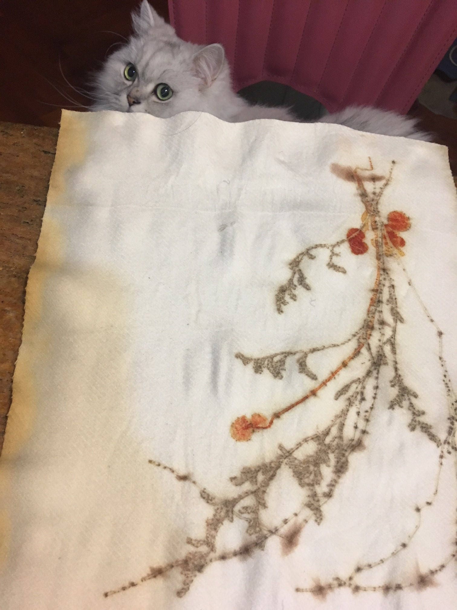 PDF Natural Prints Tutorial, Eco Print, Botanical Printing Learning ...