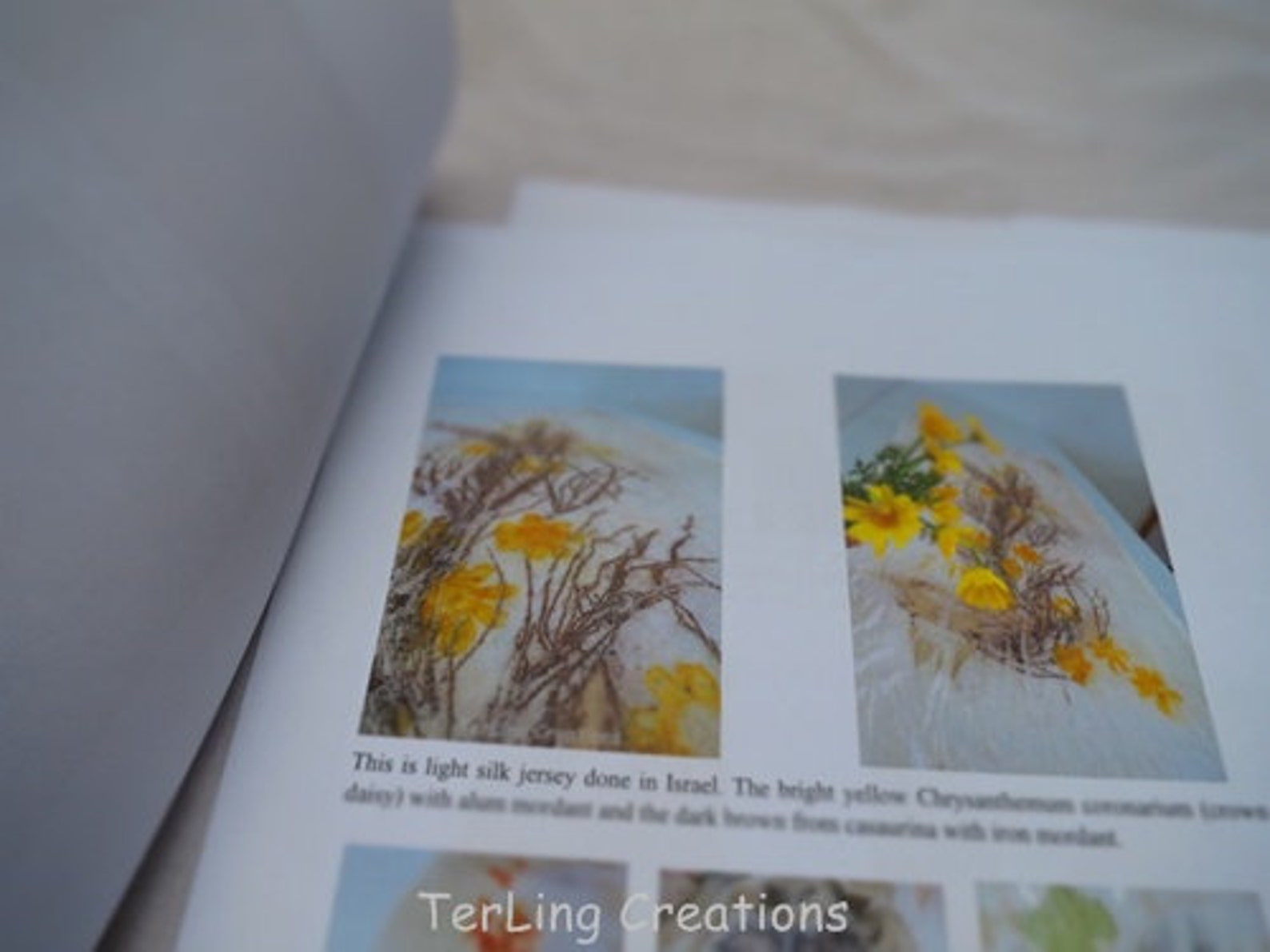 PDF Natural Prints Tutorial, Eco Print, Botanical Printing Learning ...