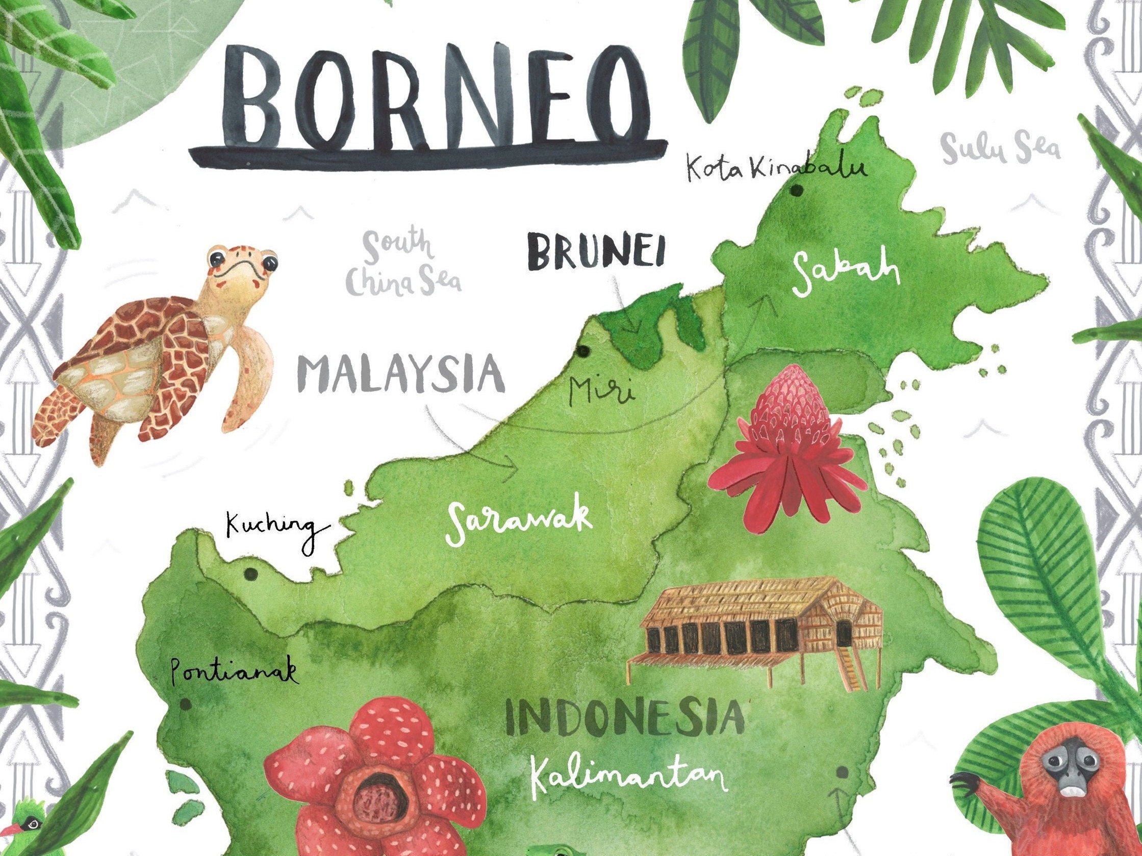 Ilustración del mapa de Borneo / Mapa ilustrado de Borneo - Etsy México