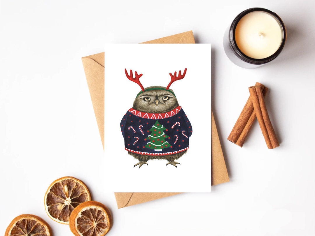 Grumpy Owl Christmas Cards Pack Christmas Clearance Funny - Etsy