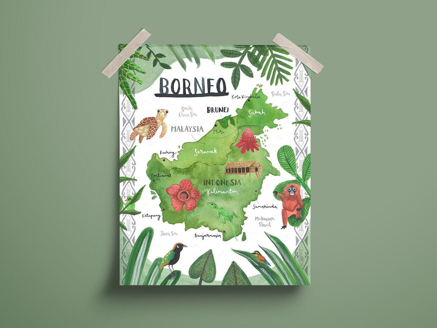 Borneo Map Illustration Illustrated Map of Borneo Indonesia - Etsy Ireland