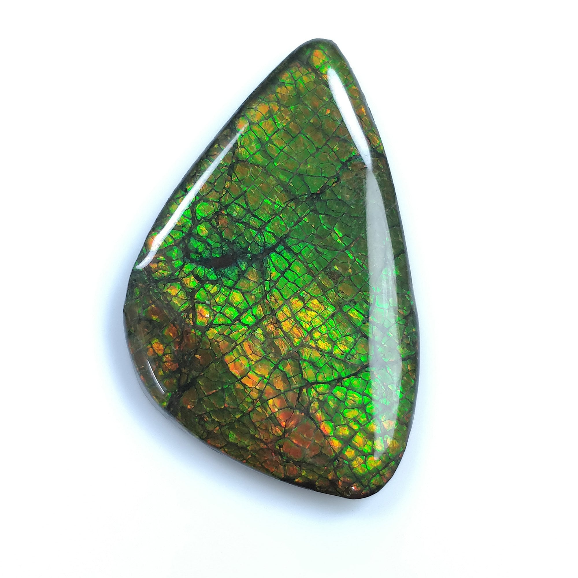 Ammolite Gemstone Cabochon : 106.75cts Natural Fossilized | Etsy