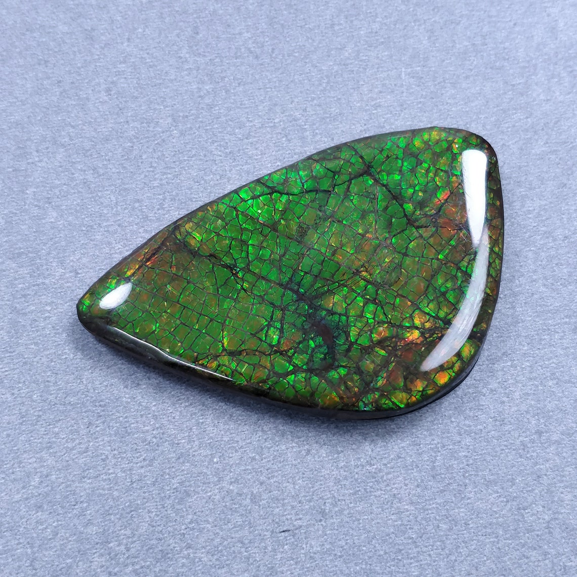 Ammolite Gemstone Cabochon : 106.75cts Natural Fossilized | Etsy