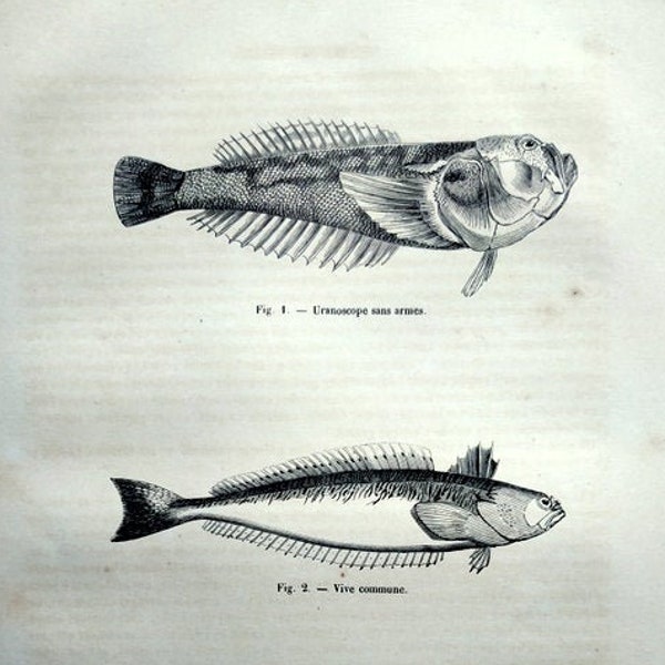 Fish Engraving - Etsy