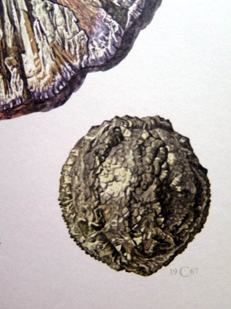 1967 Antique MARCASITE MINERAL Color Lithograph Antique Color - Etsy