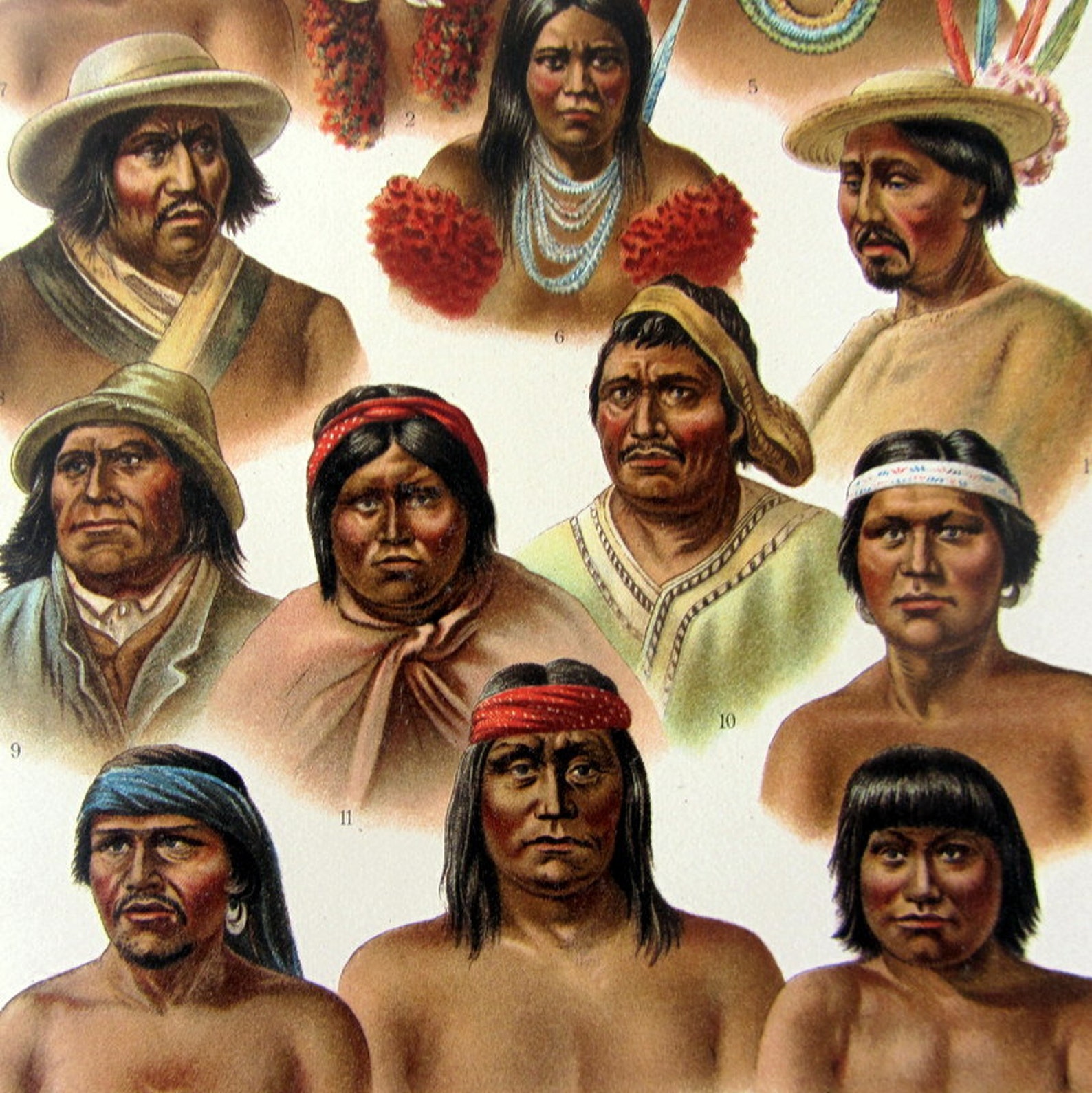 1904 Vintage American Human Races Print, NATIVE PEOPLE Race From ...