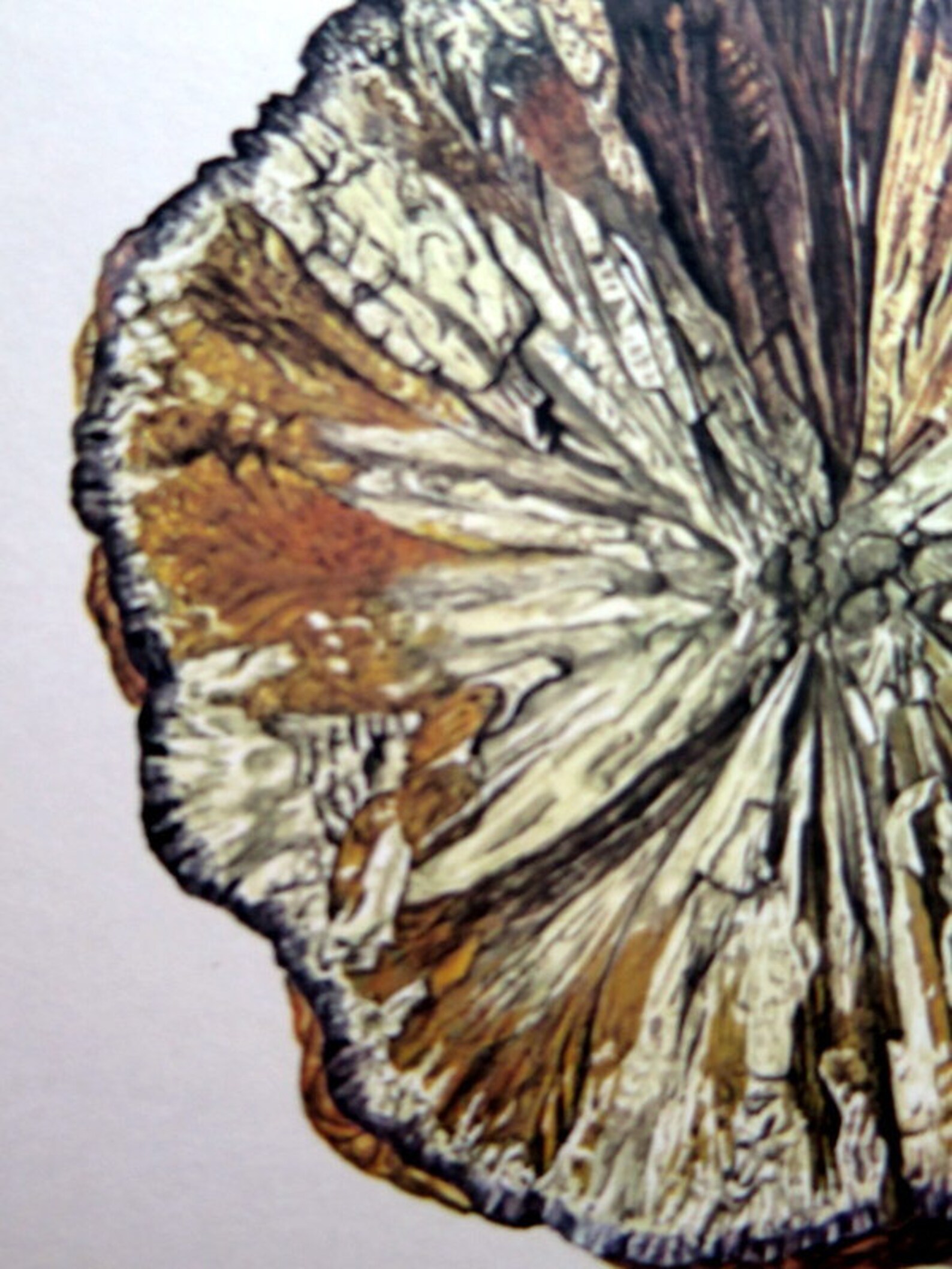 1967 Antique MARCASITE MINERAL Color Lithograph Antique Color - Etsy