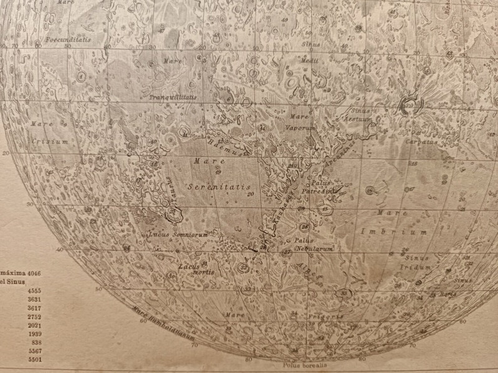 1877 Antique Chart of the MOON Vintage ASTRONOMY Engraving - Etsy