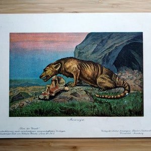 Antique Mesonyx Print Engraving, 1900 Original Vintage Fine Middle Claw ...