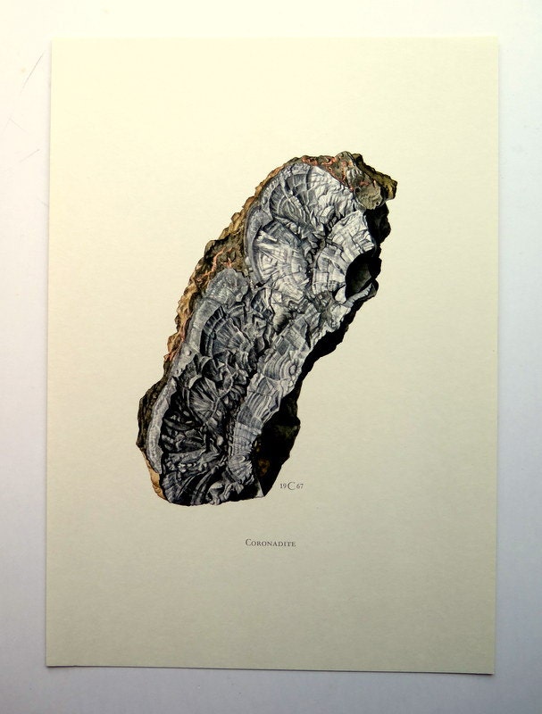 1967 Ancient Color Lithograph of CORONADITE, Antique Vintage Print ...