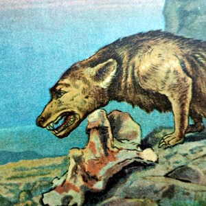 Antique Mesonyx Print Engraving, 1900 Original Vintage Fine Middle Claw ...