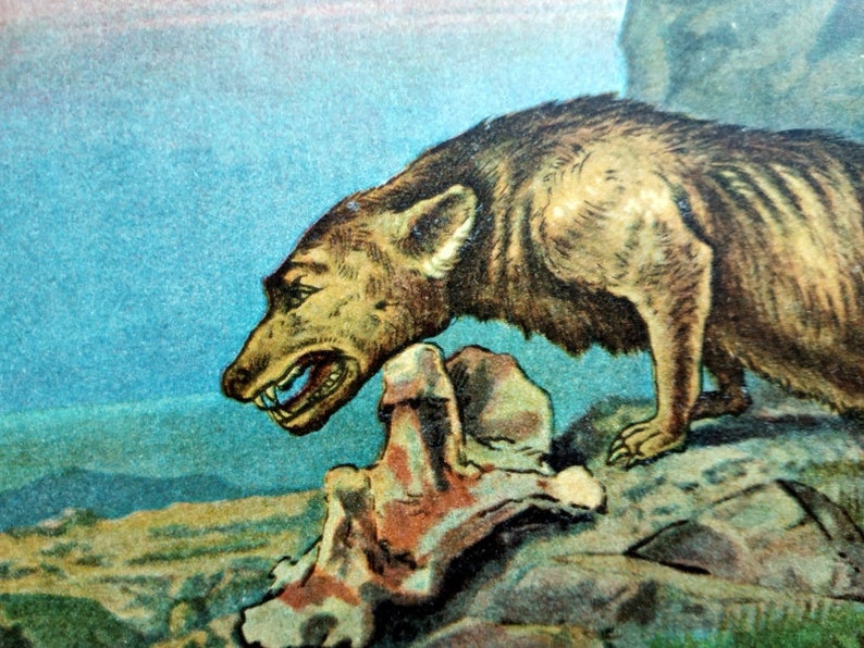 Antique Mesonyx Print Engraving, 1900 Original Vintage Fine Middle Claw ...