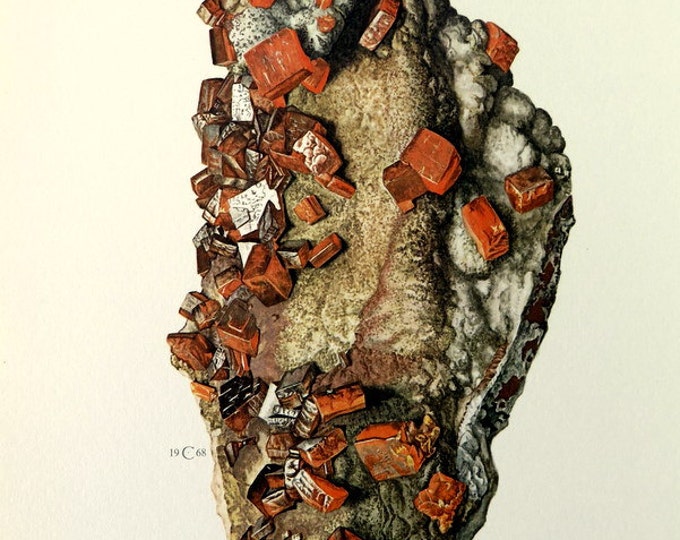 1967 Vintage Lithograph Print of WULFENITE, Antique Color Engraving ...