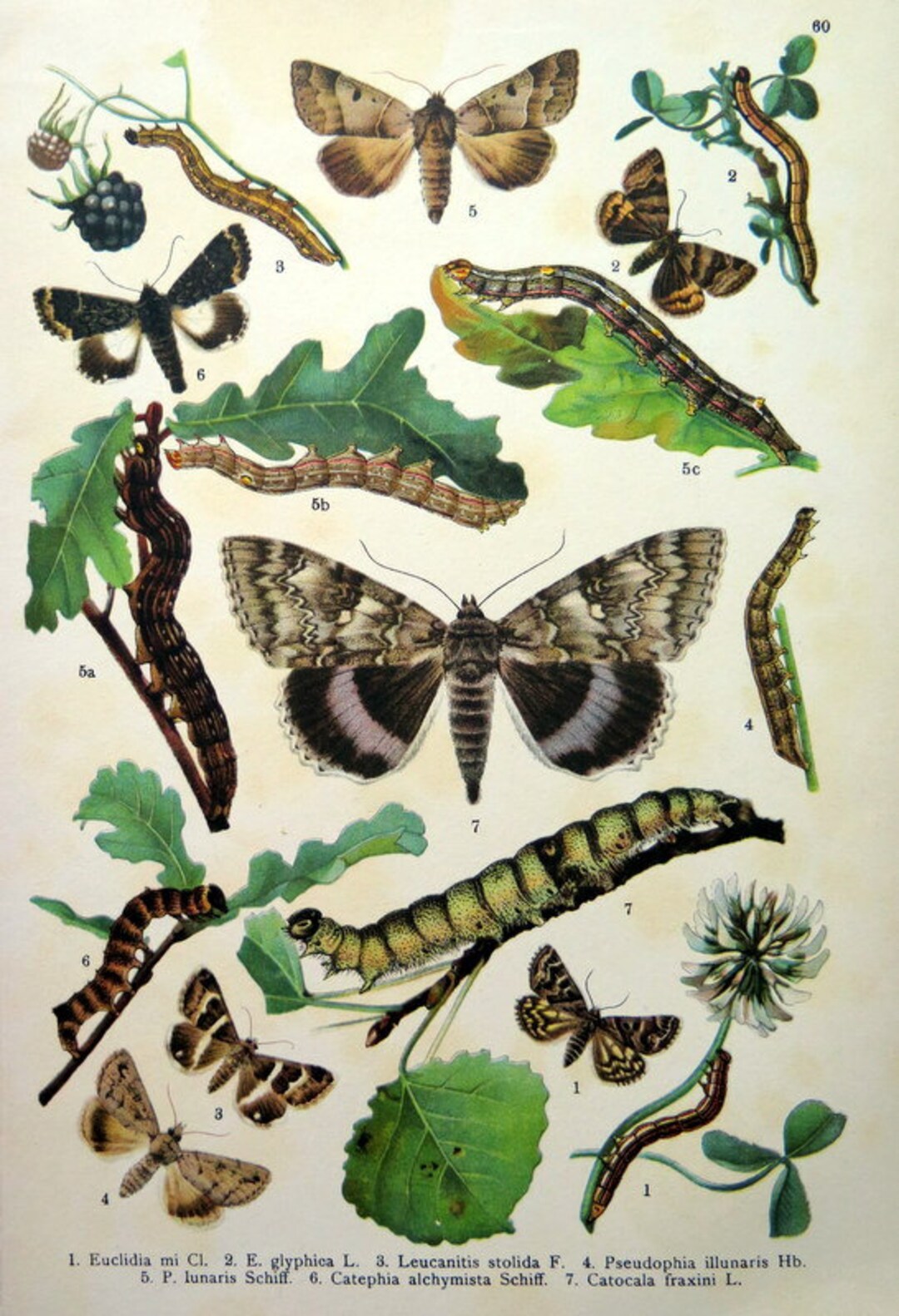 This item is unavailable - Etsy