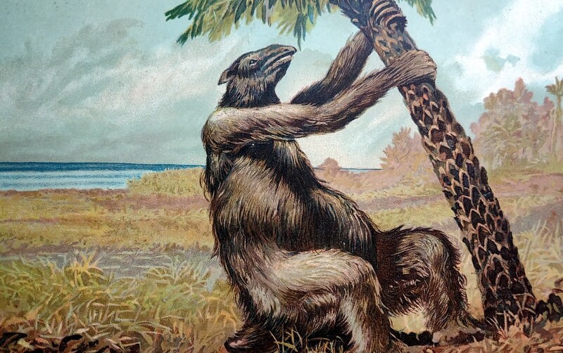 Antique Prehistoric Giant Ground Sloth Fine Print, 1900 Vintage Sloths ...