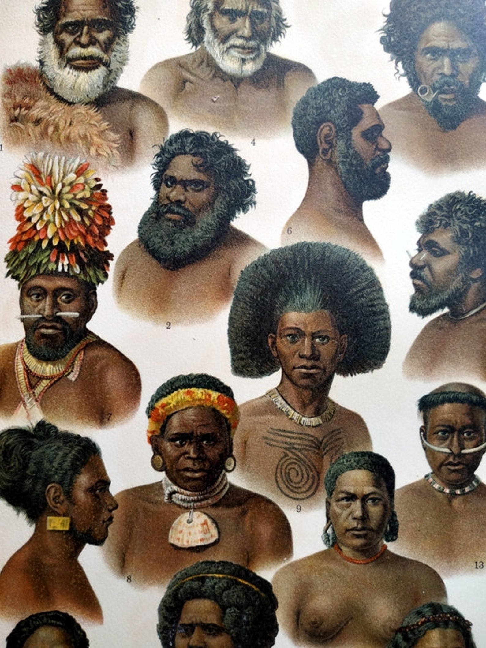 1896 Antique Australian New Zealand Human Race Lithograph, Faces NATIVE ...