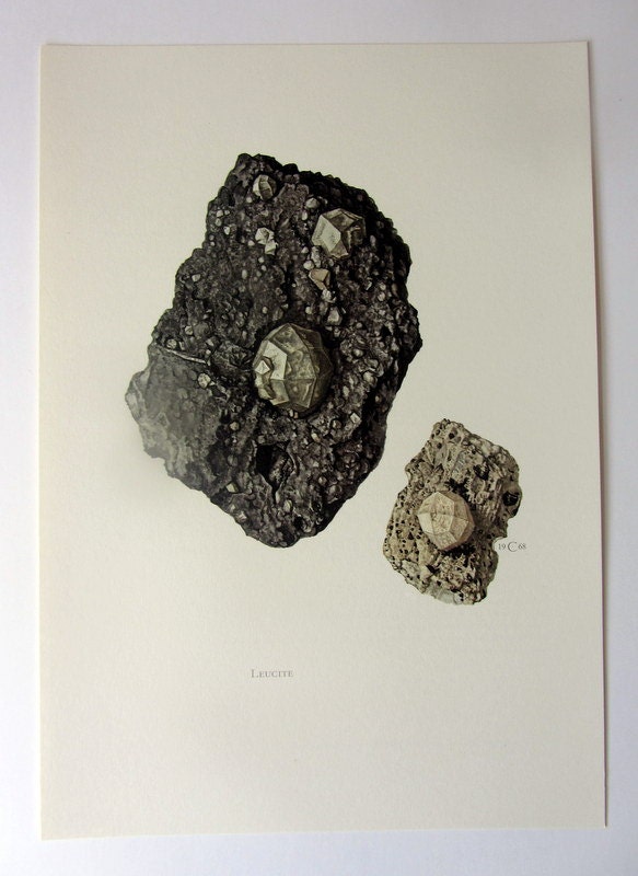 Antique Rock Mineral Print of LEUCITE, Vintage Crystal Engraving ...