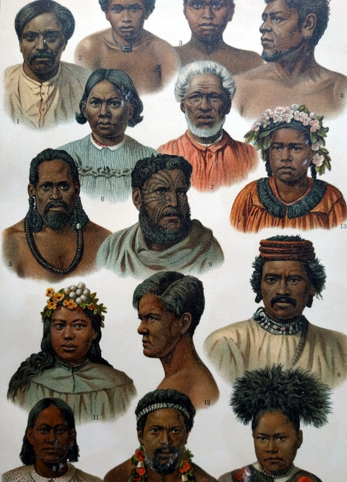1896 Antique Australian New Zealand Human Race Lithograph, Faces NATIVE ...