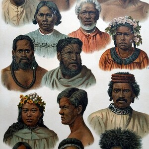 1896 Antique Australian New Zealand Human Race Lithograph, Faces NATIVE ...