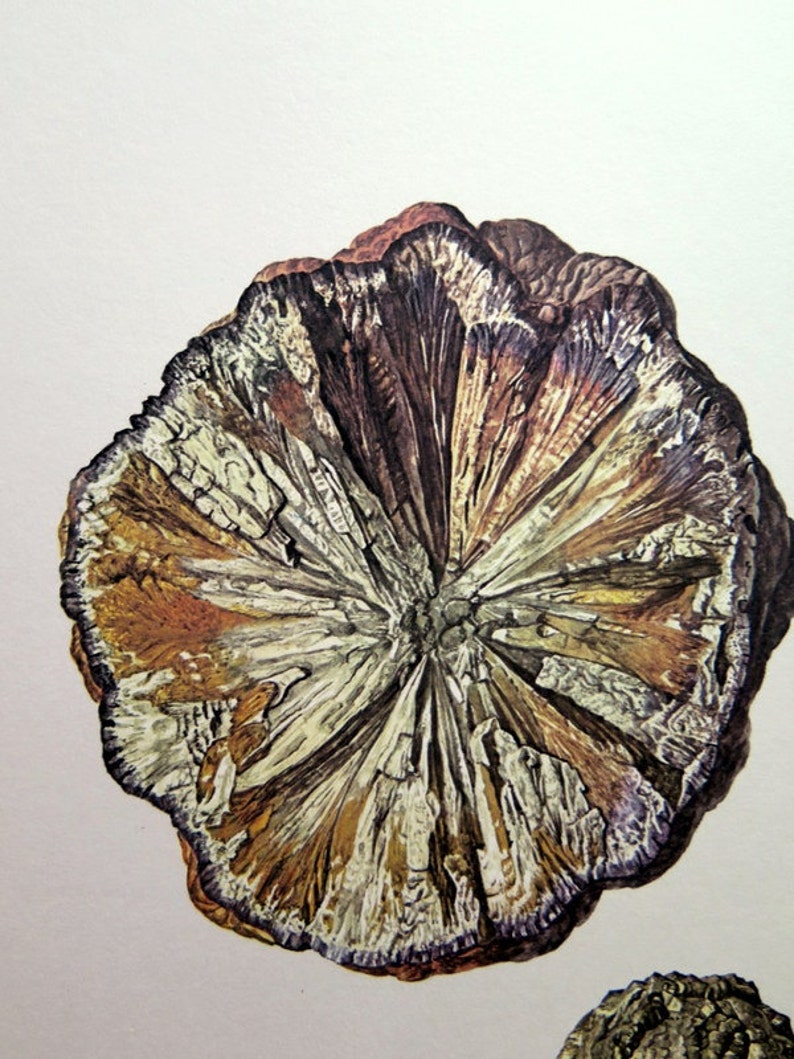 1967 Antique MARCASITE MINERAL Color Lithograph Antique Color - Etsy